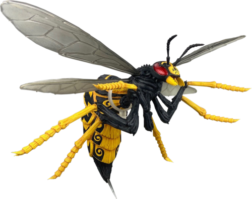 Heather Swain Stats - Amphibionix